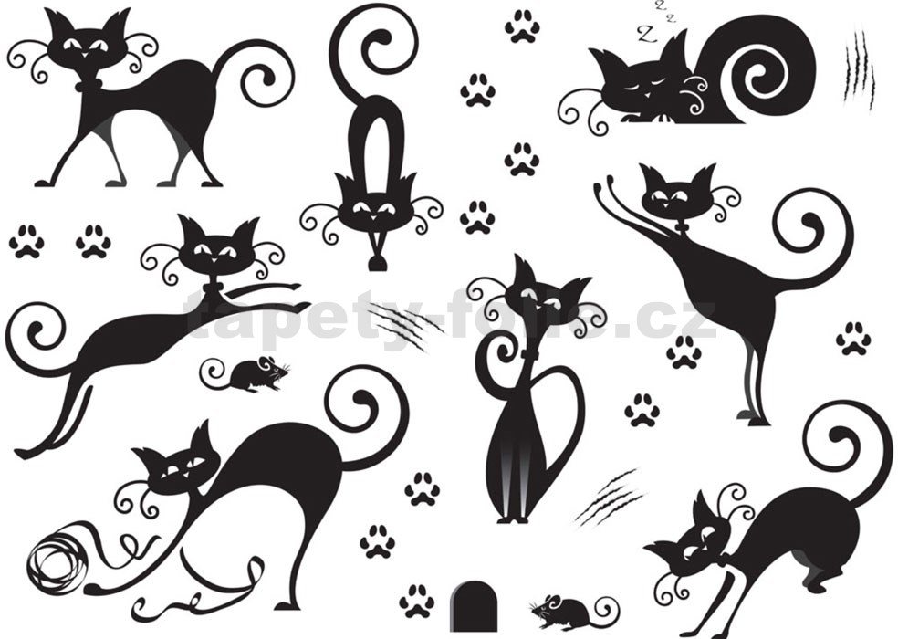 Samolepky na stenu mačky | tapety-folie.sk